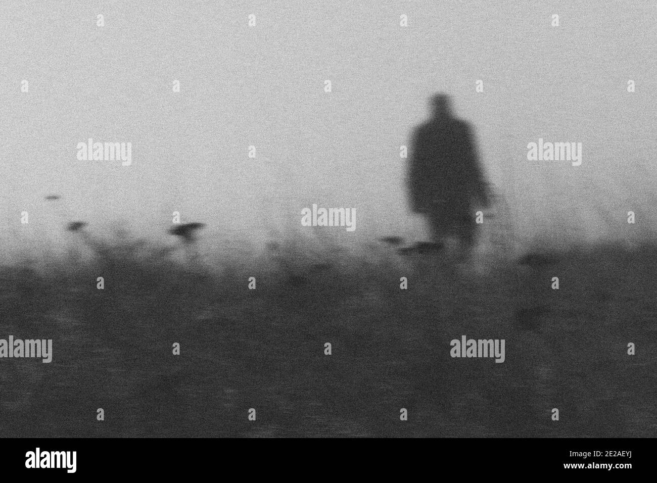 Back to camera Black and White Stock Photos & Images - Alamy