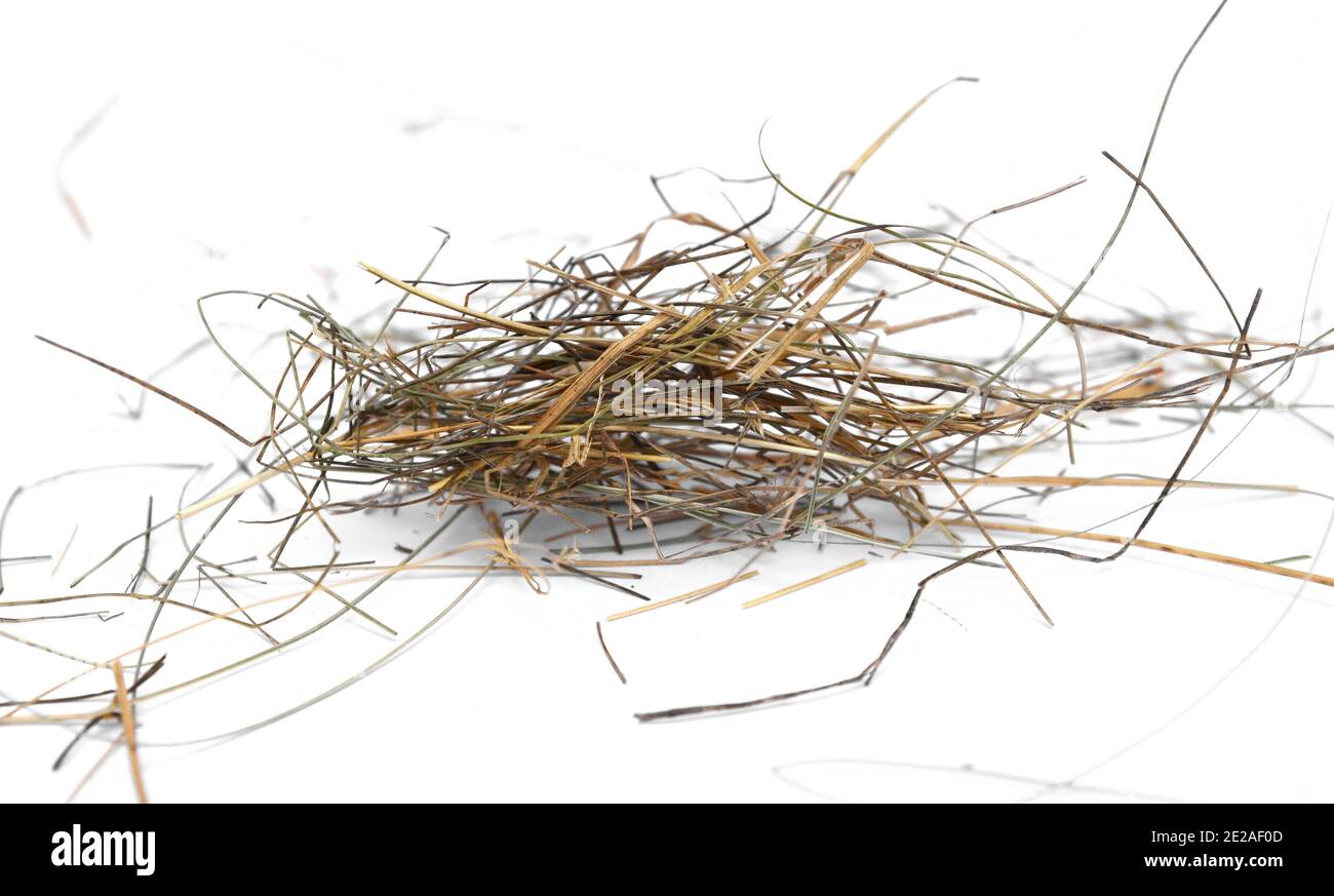 Small pile of hay isolated on white background Stock Photo - Alamy