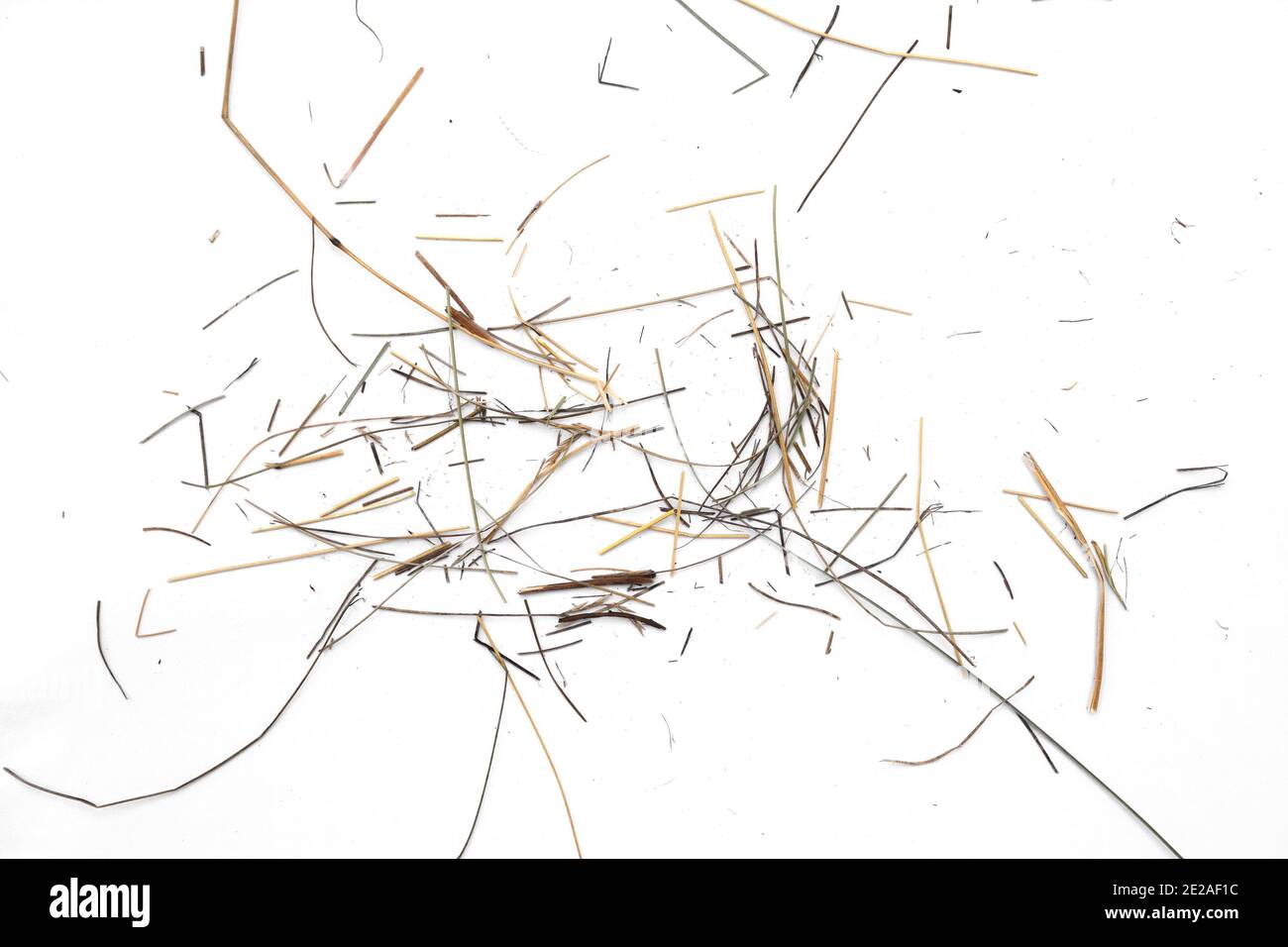 Small pile of hay isolated on white background Stock Photo - Alamy