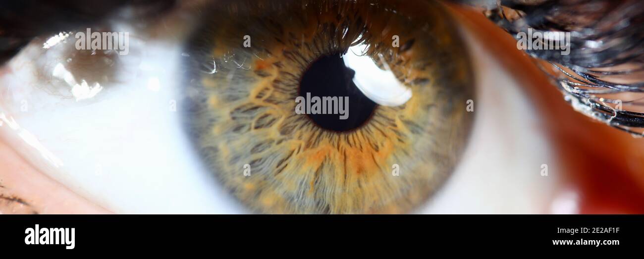 Person with clear glance Stock Photo - Alamy