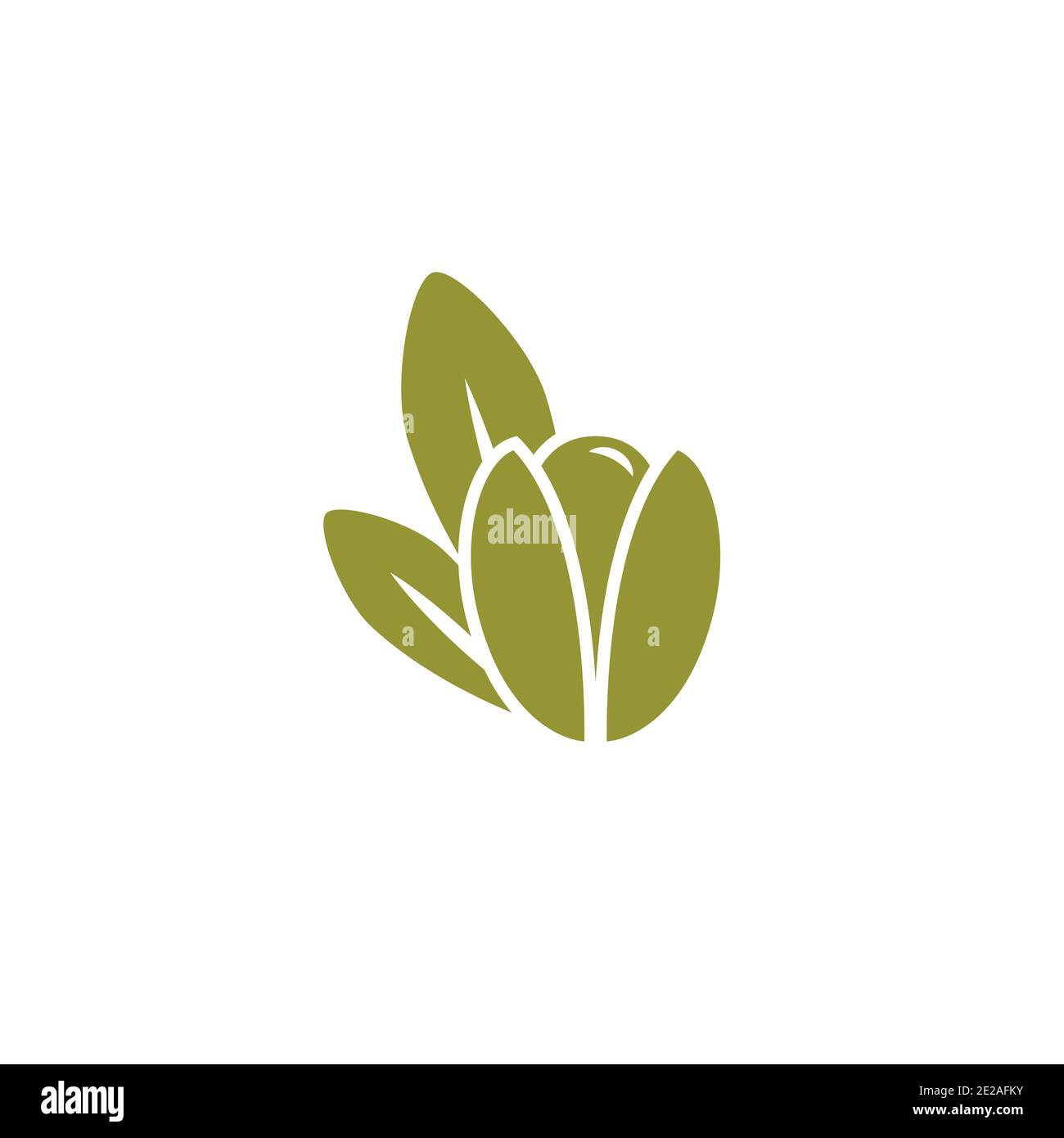 Argan oil vector vectors hi-res stock photography and images - Alamy