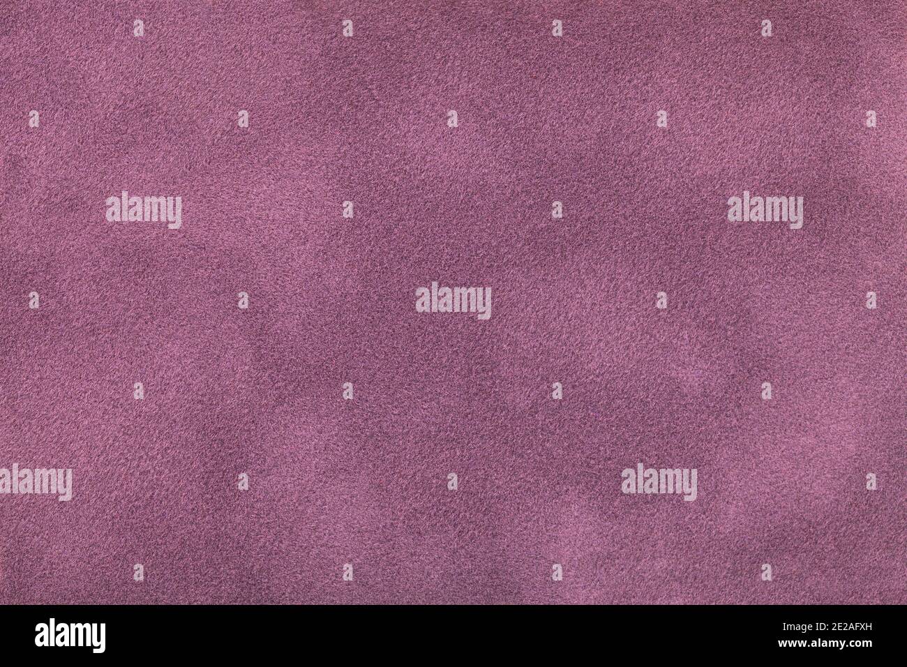 Dark purple matte background of suede fabric, closeup. Velvet texture ...