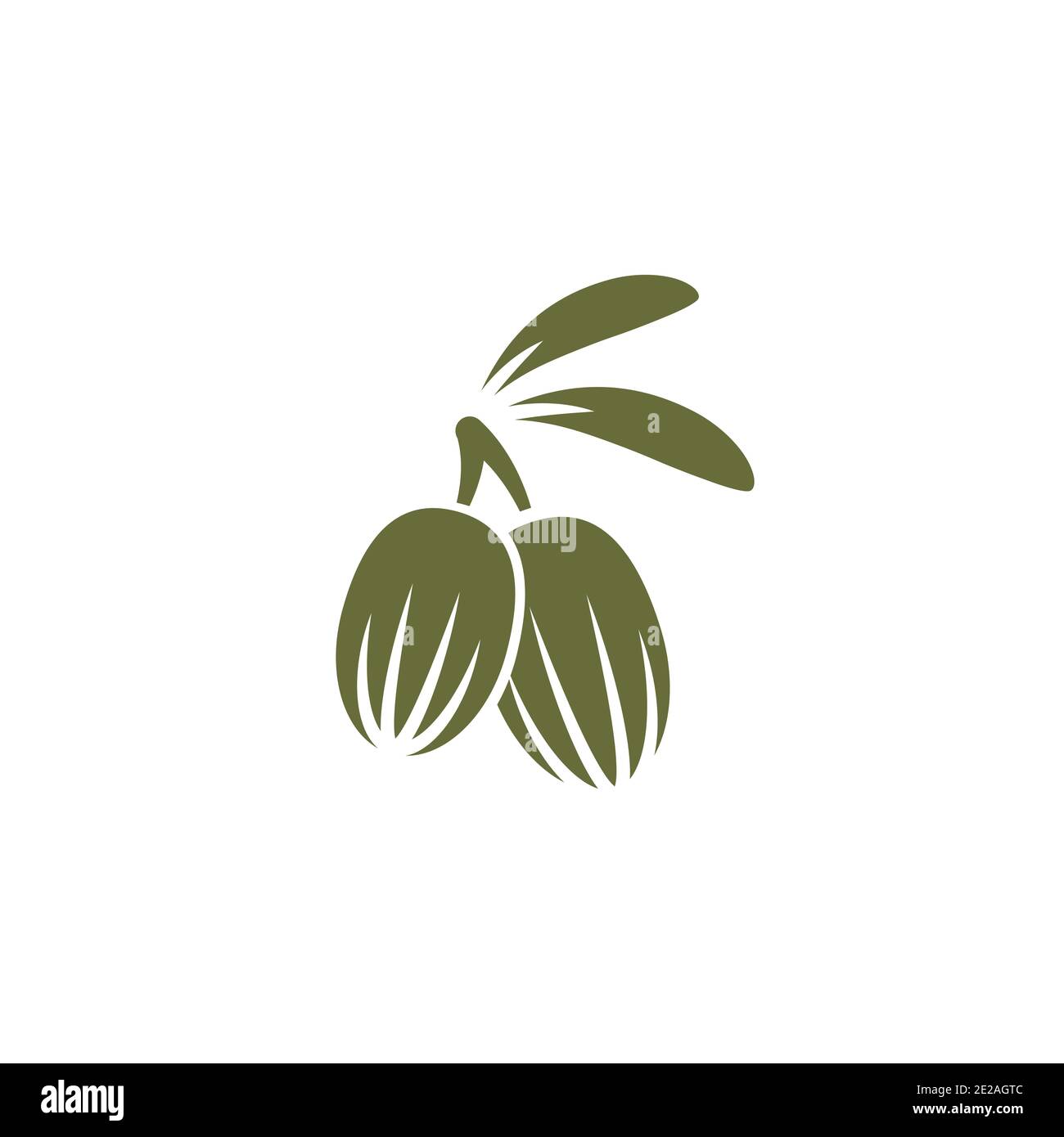 Shea nut green icon. vitellaria beauty and cosmetics oil. Cosmetic ...