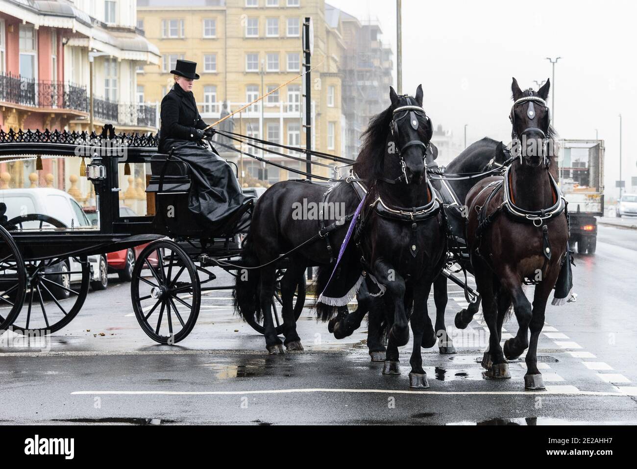 Black funeral horses hi-res stock photography and images - Alamy