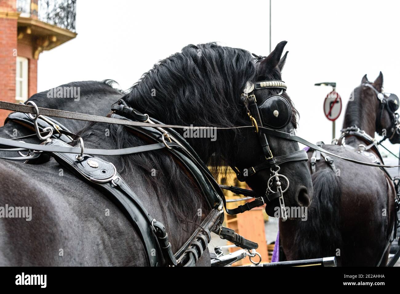 Brunswick carriage company hi-res stock photography and images - Alamy