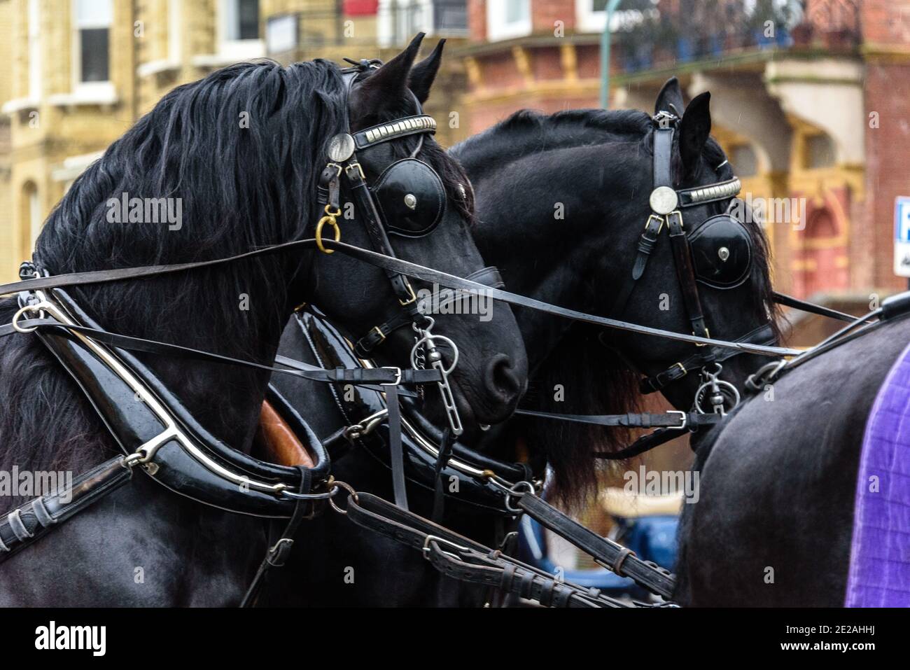 Brunswick Carriage Company High Resolution Stock Photography and Images ...