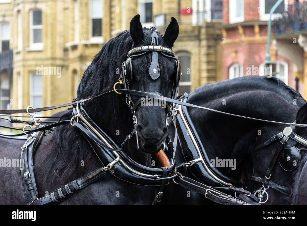 Brunswick carriage company hi-res stock photography and images - Alamy