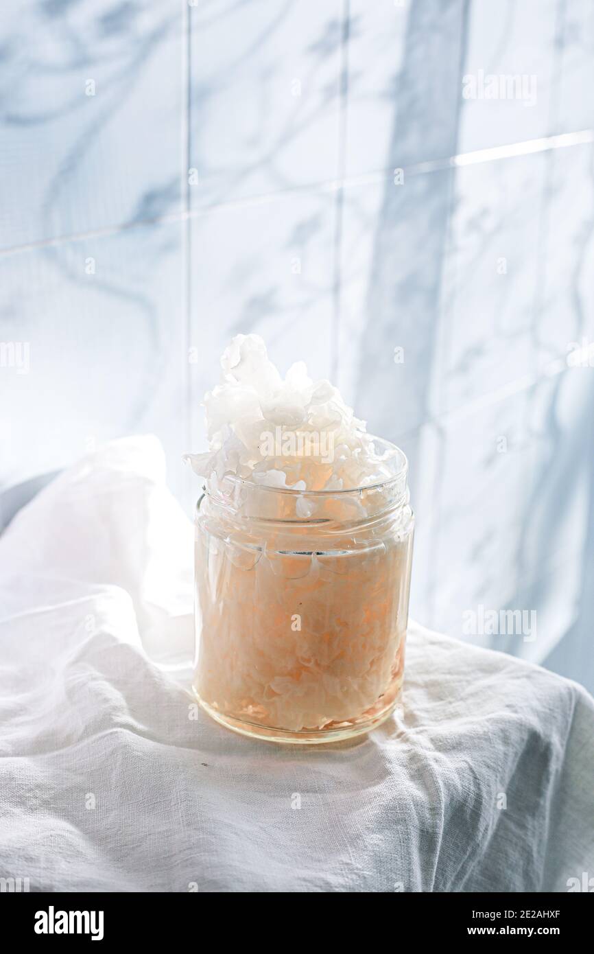 Tremella fuciformis hi-res stock photography and images - Alamy