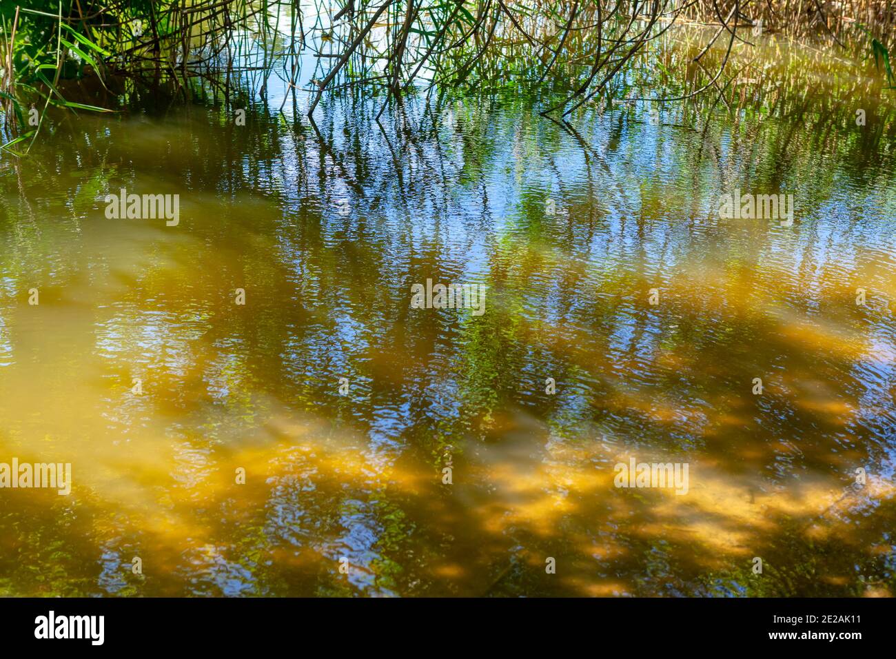 Light and shadow on the surface of the water Stock Photo - Alamy