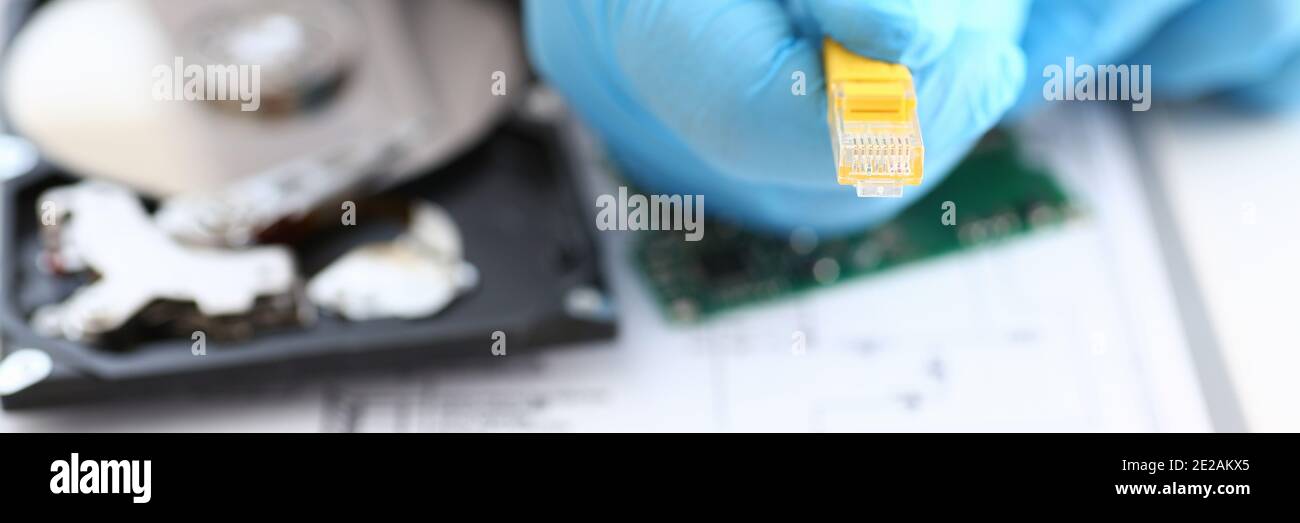 Engineer hand holding patch cord with RJ45 connector Stock Photo - Alamy