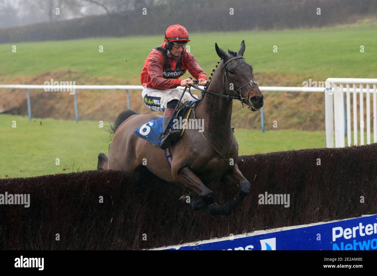 Tip Top Cat ridden by Sam Twiston-Davies during the Pertemps Network ...