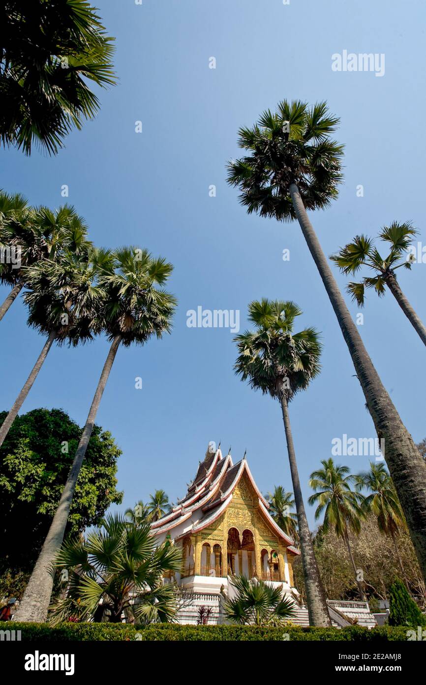 National tree of laos hi-res stock photography and images - Alamy