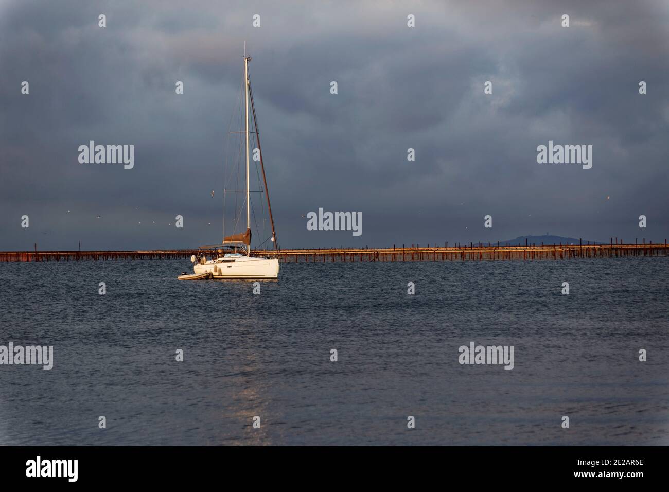 Bouzigues, France. 15th Aug, 2016. Sailboats on The Thau lagoon in ...