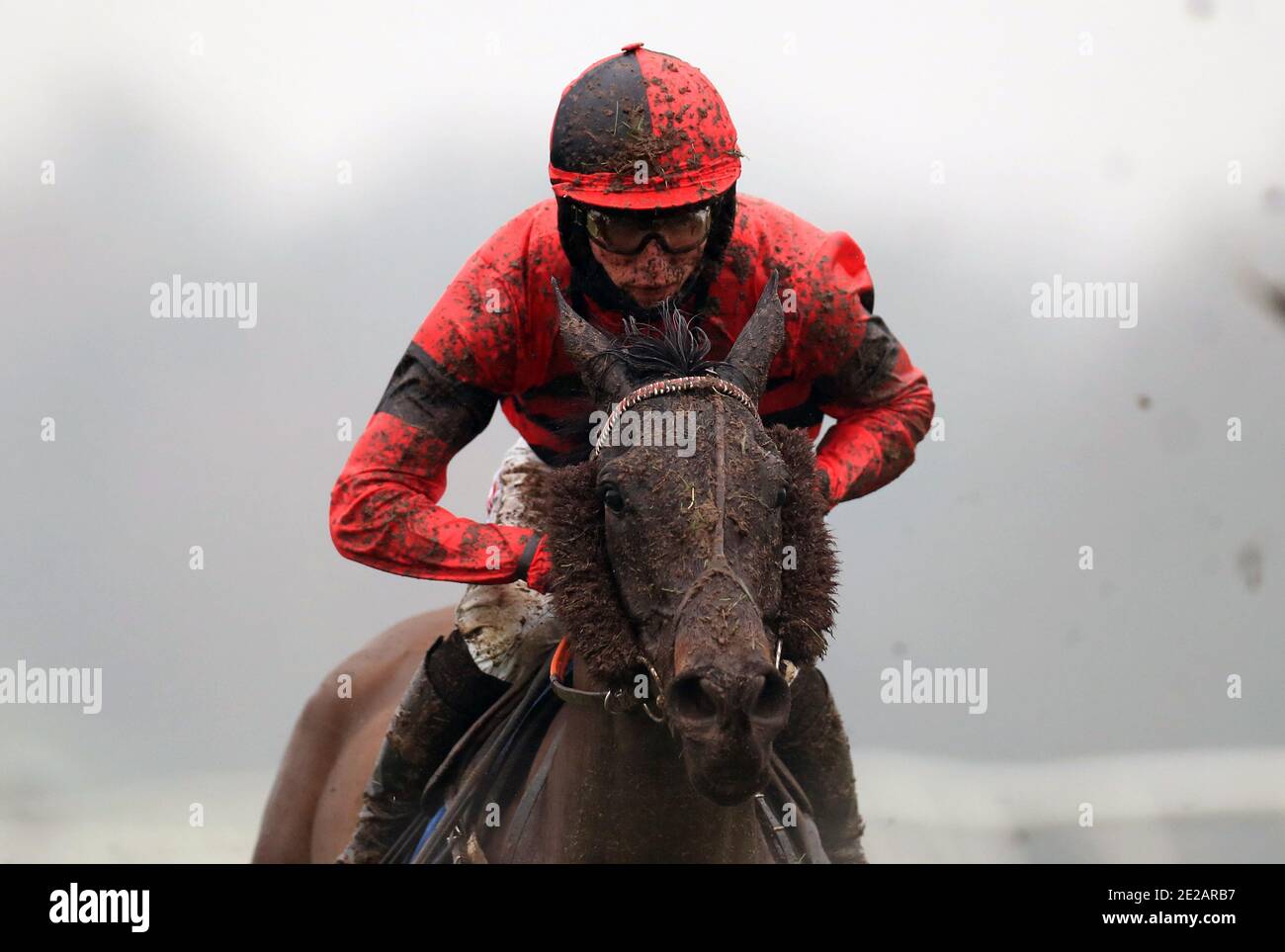 Harry Cobden aboard Ferrobin during the Pertemps Network Selling Hurdle ...