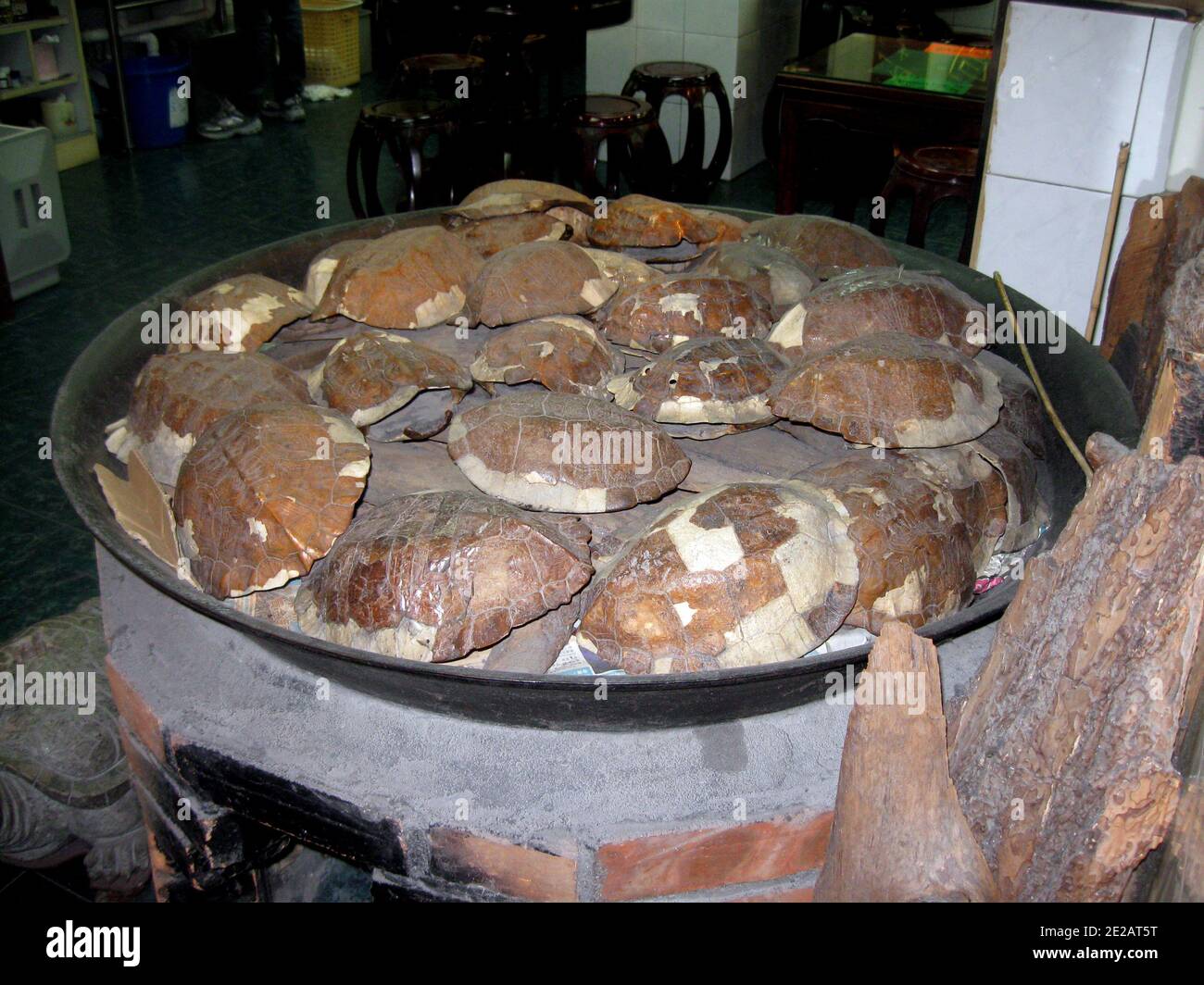 Turtle shells (carapaces) in a chinese food market (Hong Kong Stock ...