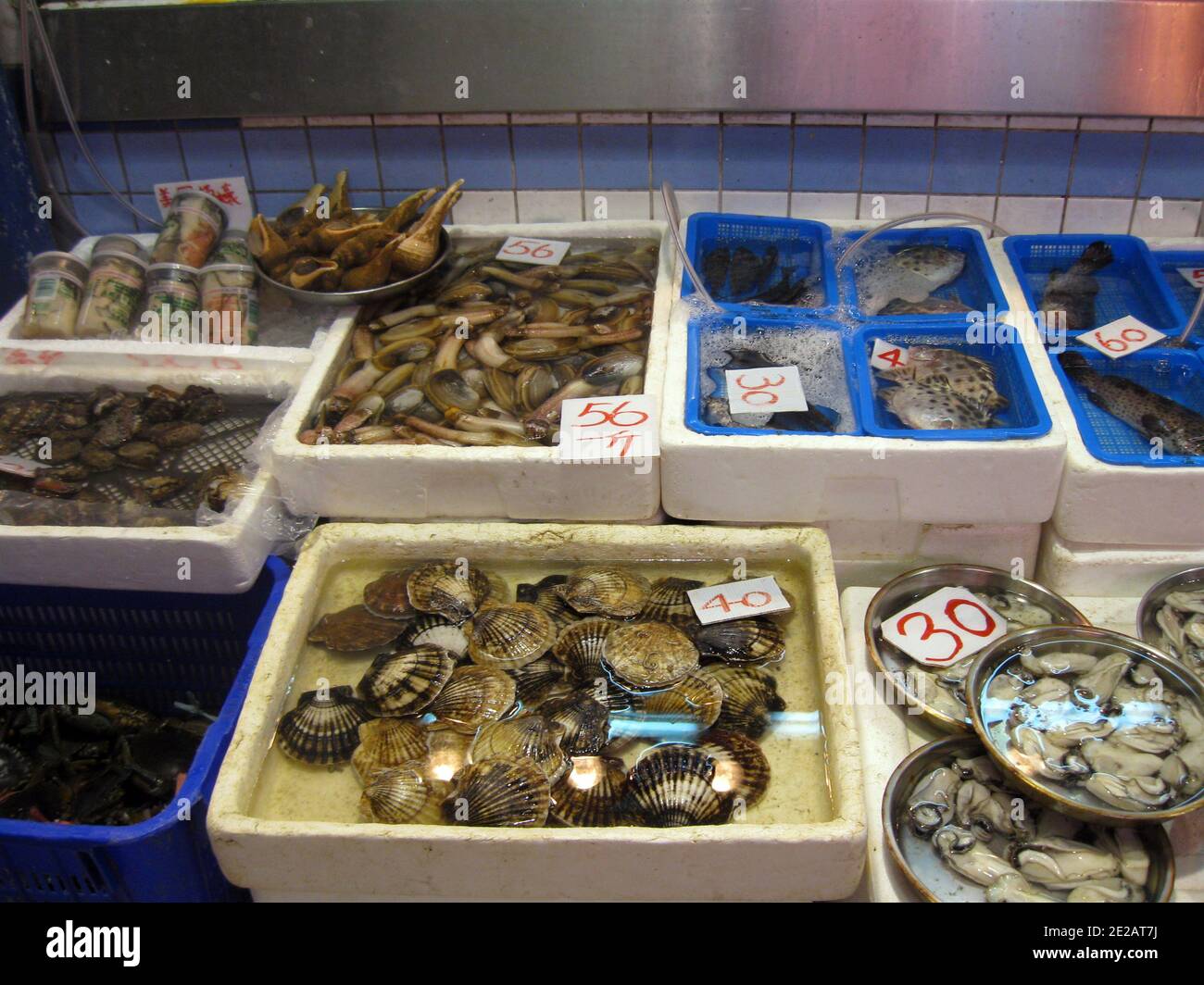 Living sea fruits (mollusks) for sale in a chinese wet market Stock ...