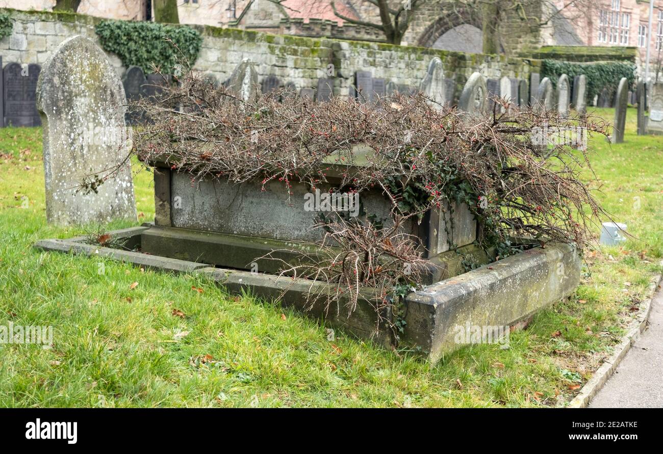 Old stone grave overgrown Stock Photo - Alamy