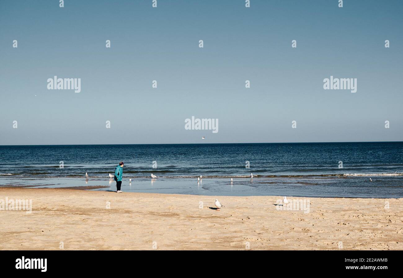SARBINOWO, POLAND - Oct 16, 2017: One person and seagulls on sand close ...
