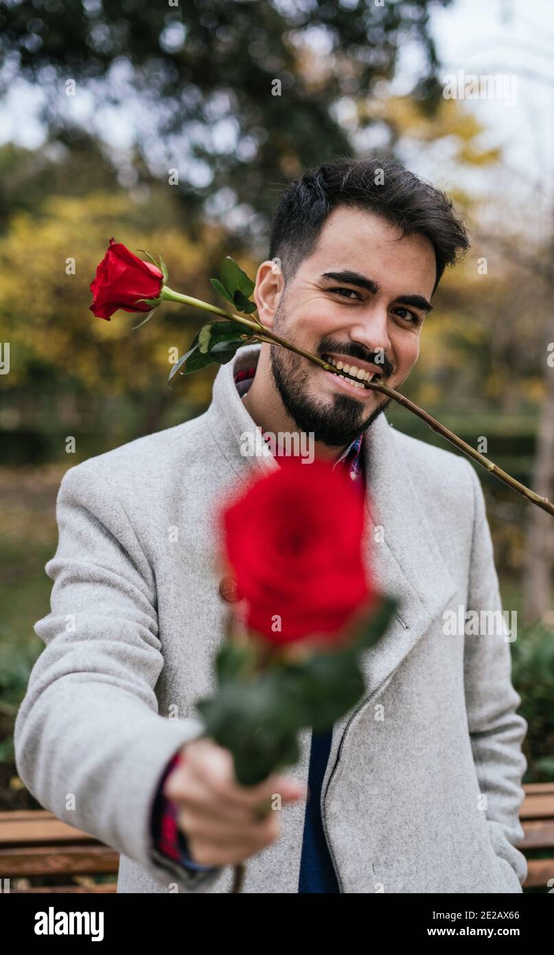 Vertical closeup of a male holding and biting the stem of red roses ...