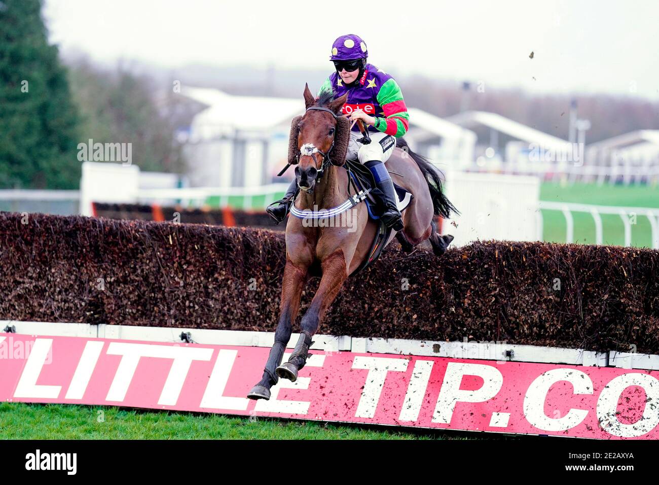 Cyclop horse hi-res stock photography and images - Alamy