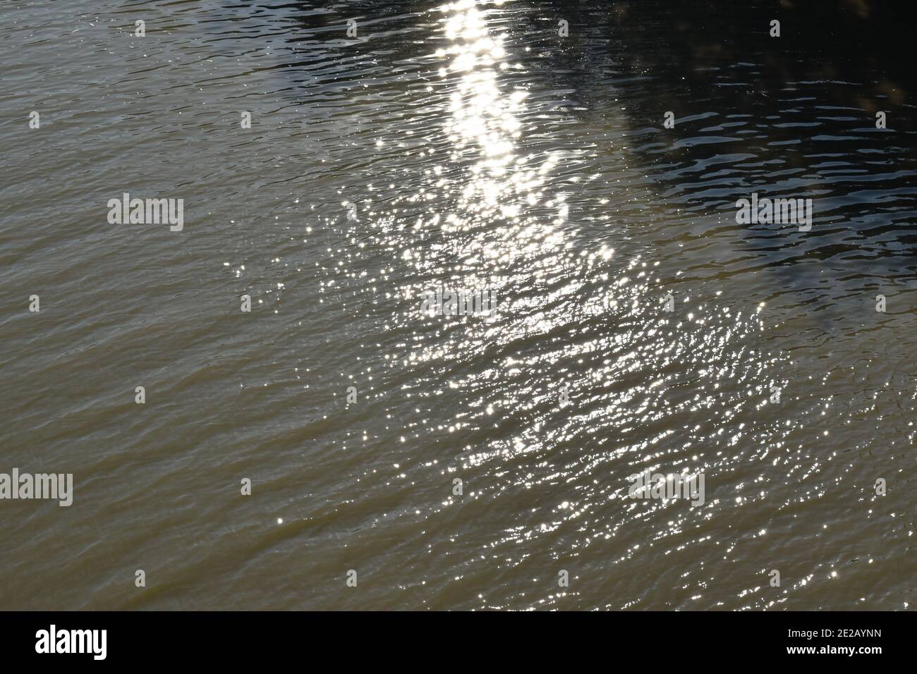 Sunlight On The River