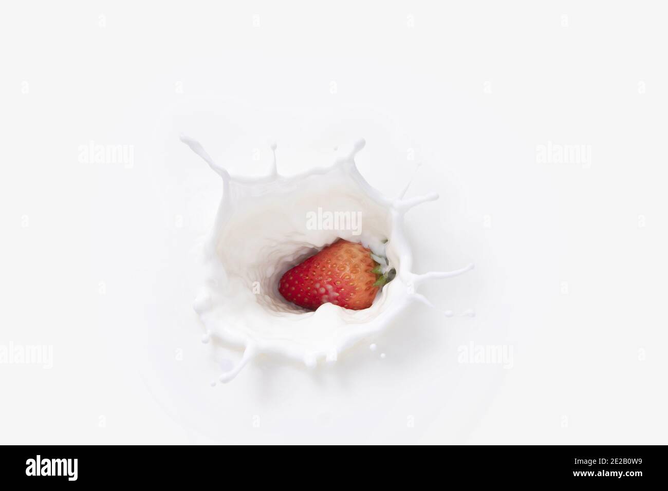 High angle shot of a strawberry floating in some milk Stock Photo - Alamy