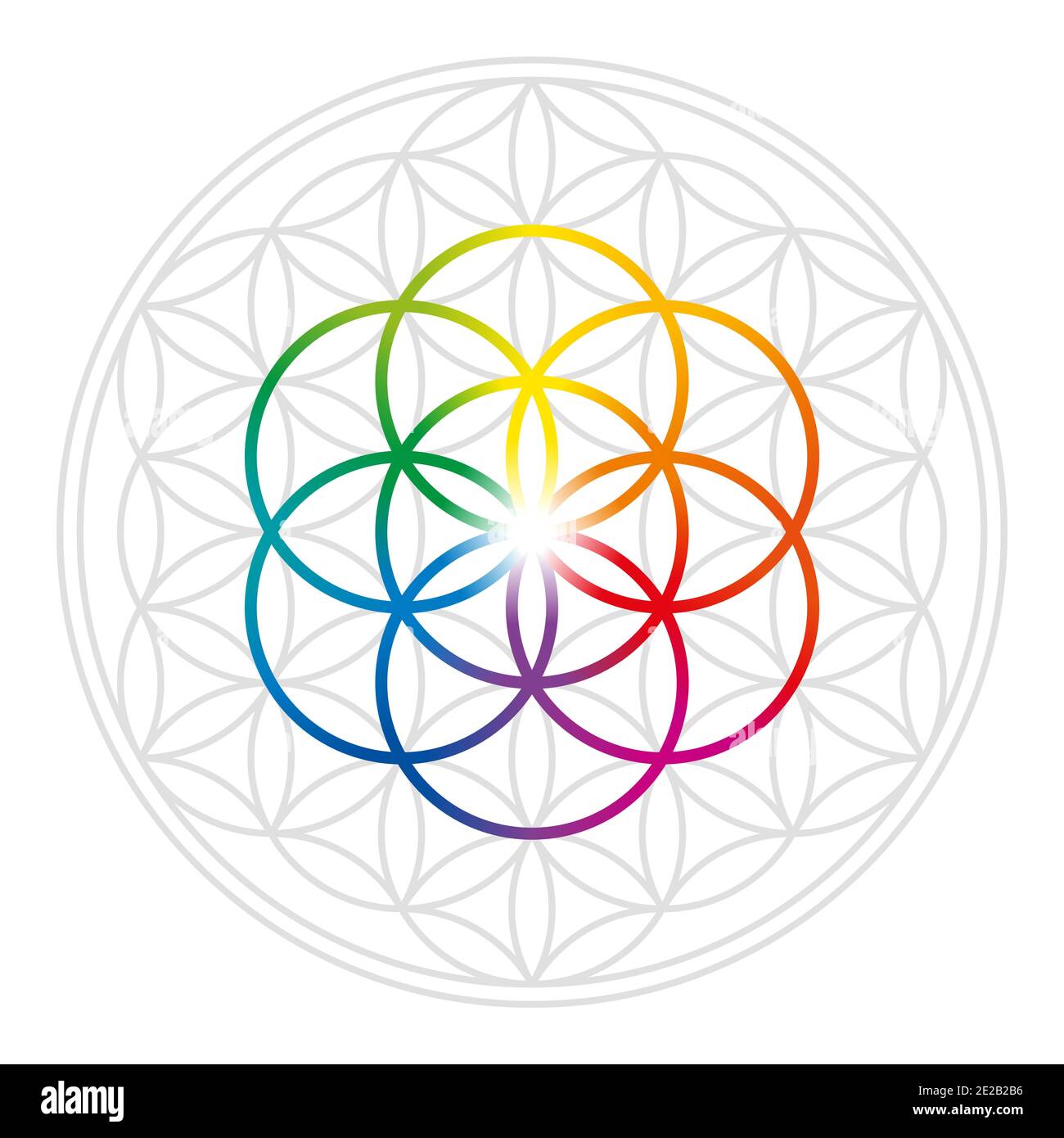 Rainbow colored Seed of Life in gray Flower of Life. Geometric figures ...
