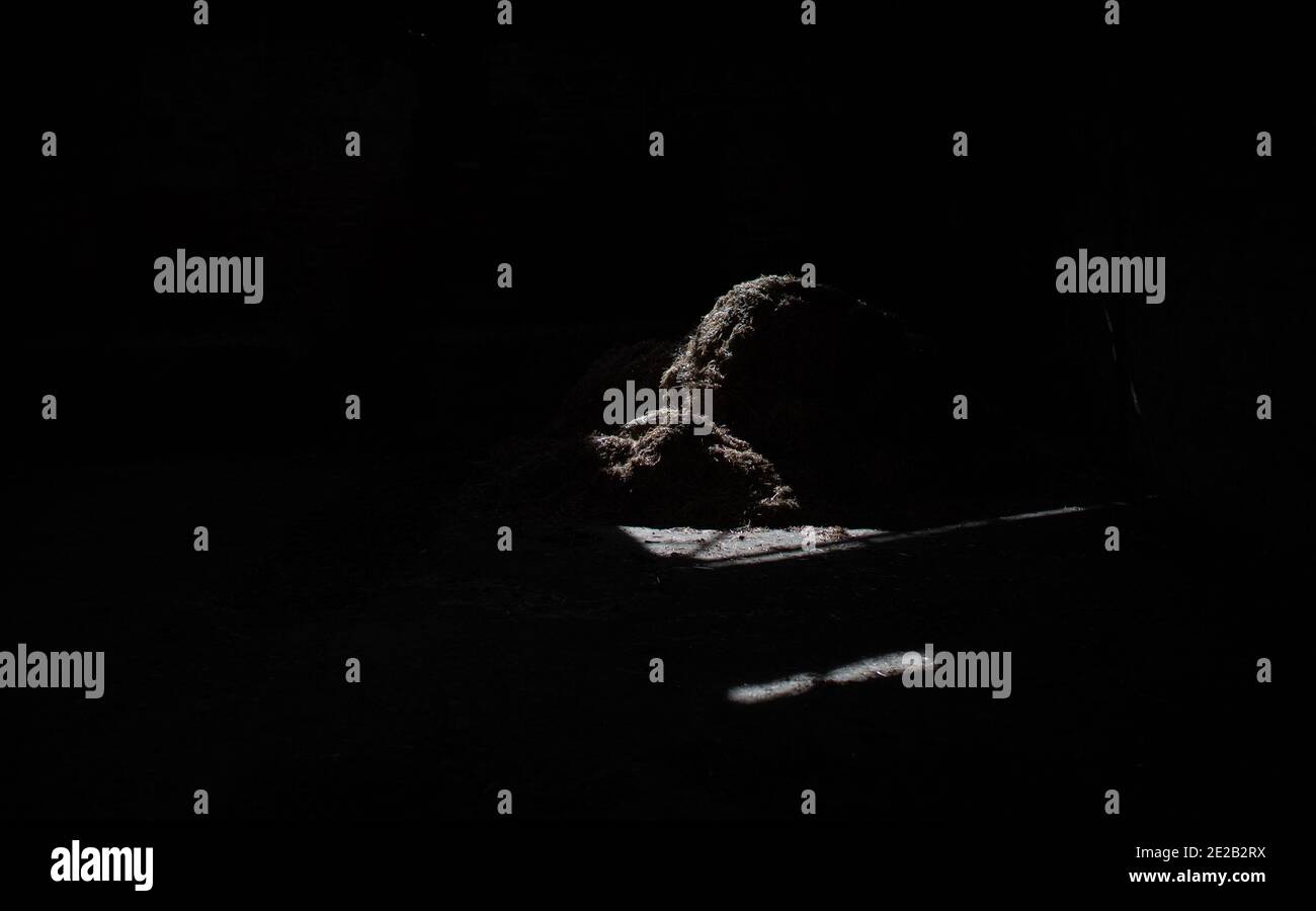 Straw inside hi-res stock photography and images - Alamy