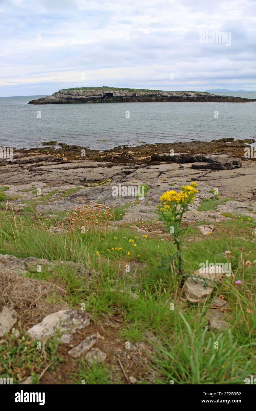 Ynys moelfre hi-res stock photography and images - Alamy
