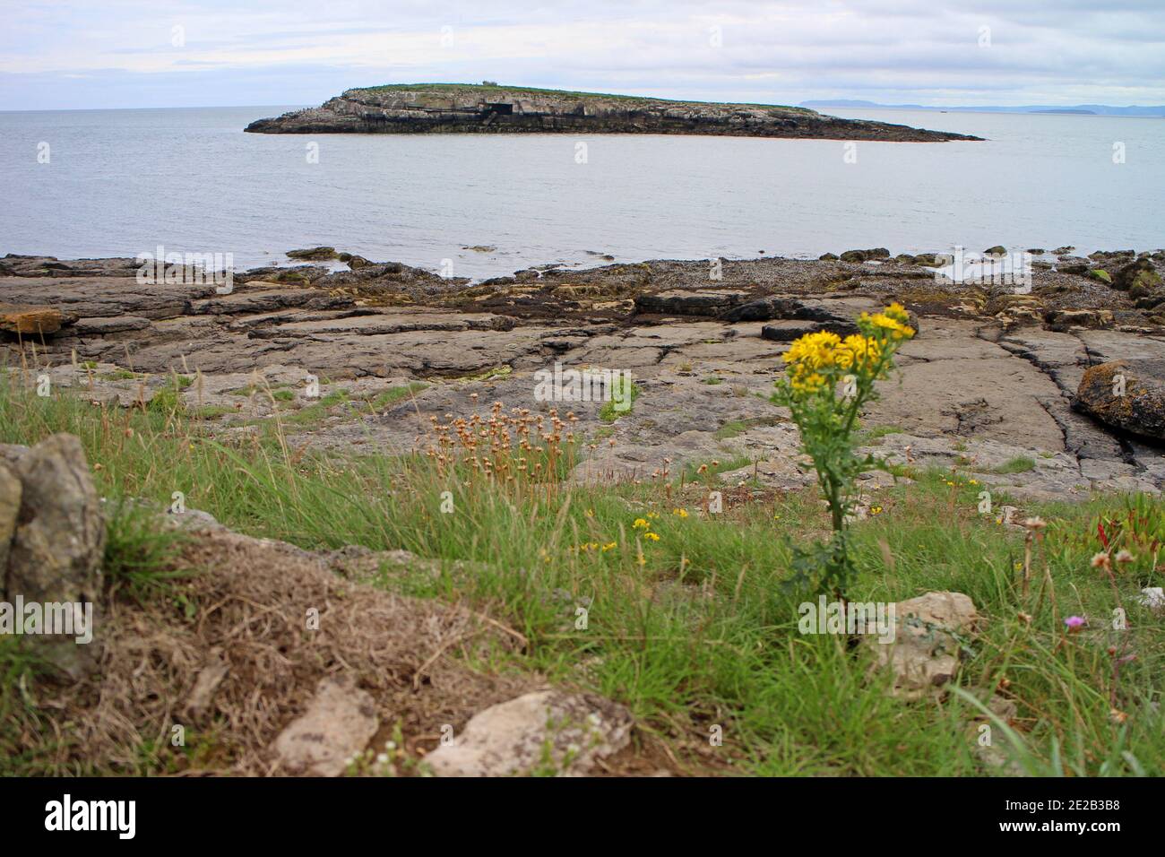 Ynys moelfre hi-res stock photography and images - Alamy