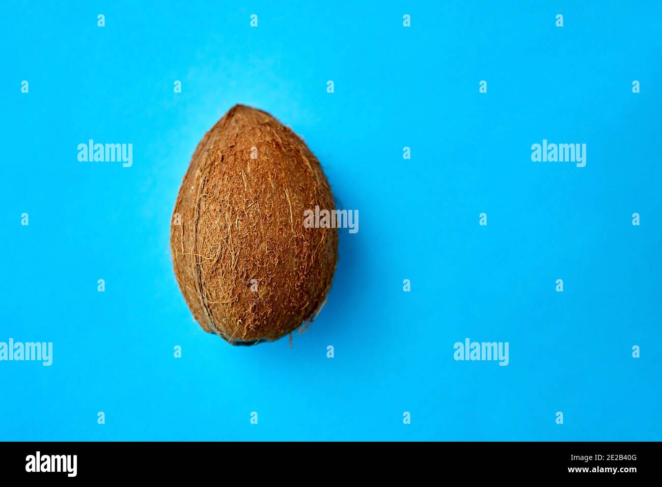 Top view ripe coconut hi-res stock photography and images - Alamy