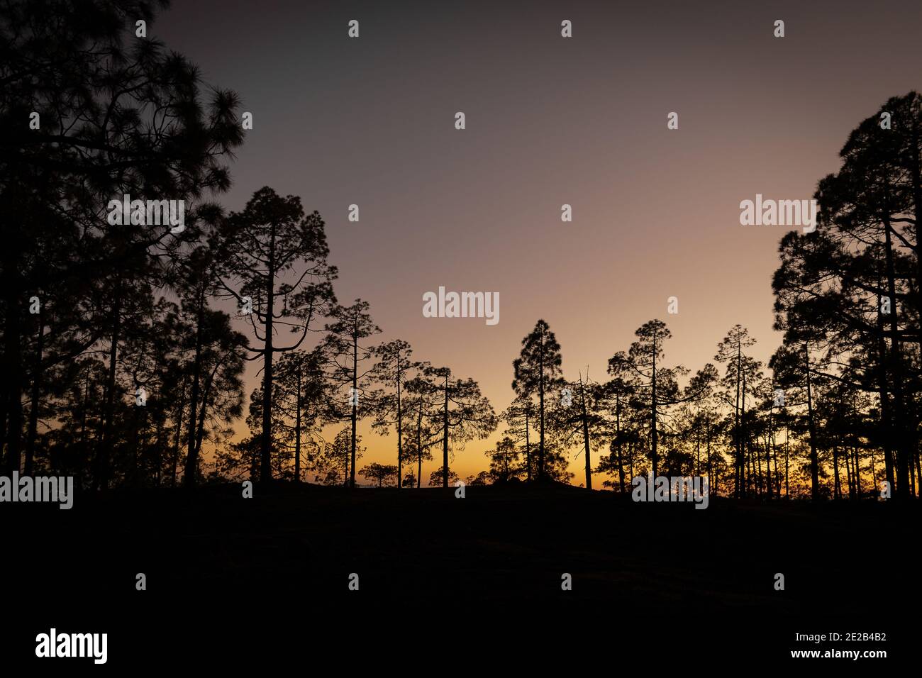 Beautiful scenery of a landscape with a lot of trees under the ...