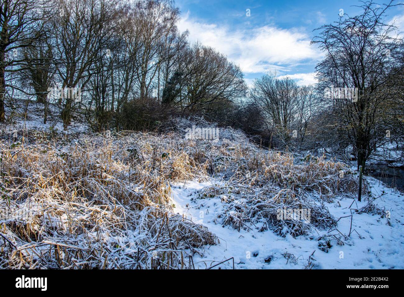 Adlington lancashire hi-res stock photography and images - Alamy