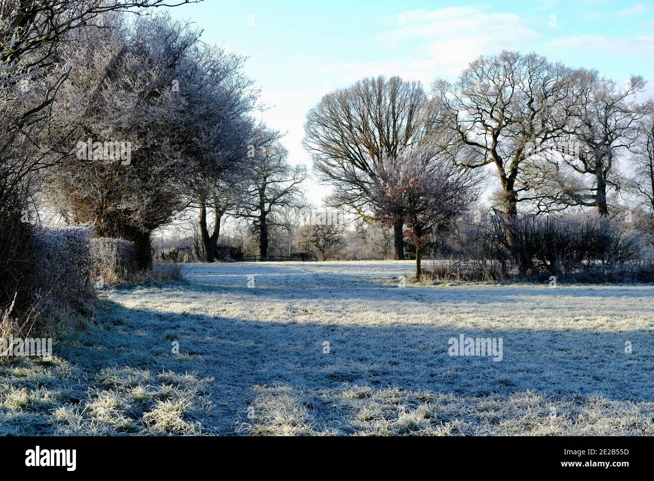 Winter Rural Landscape, Cheshire England with a light frost and a clear ...