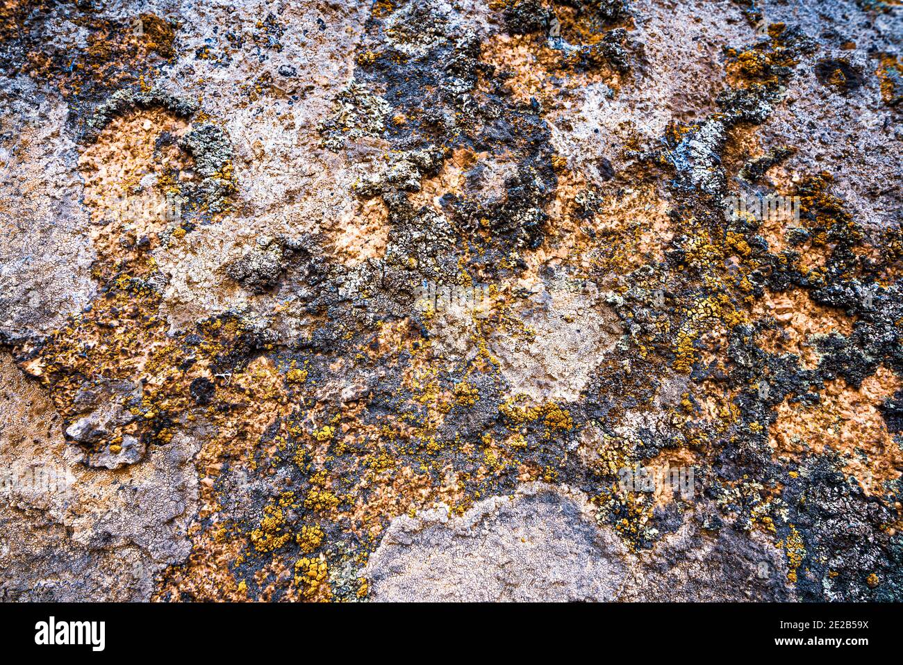 An unusual pattern of multi-colored mold on gray stone wall with moss ...