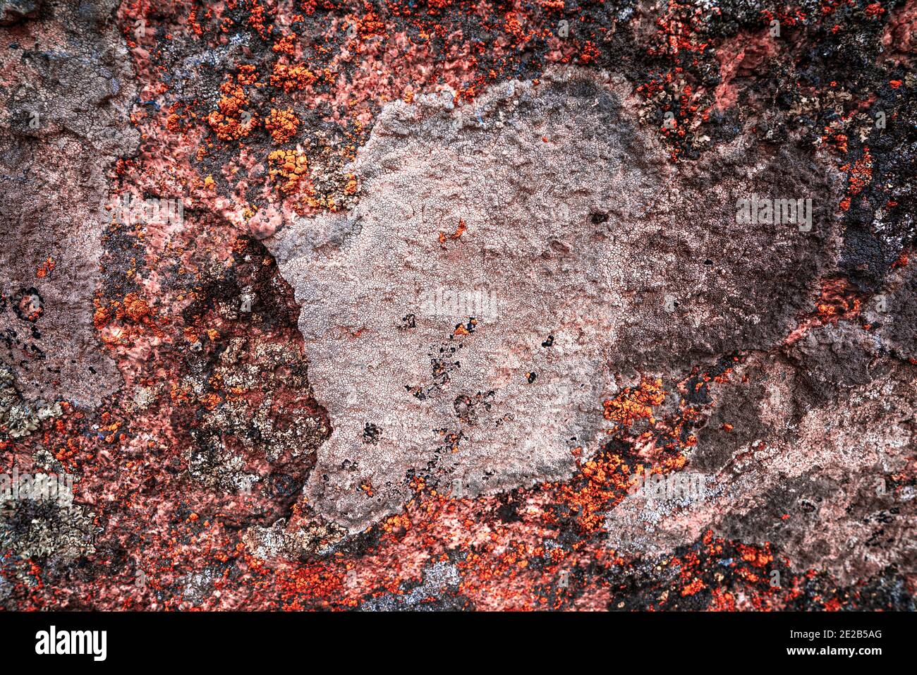 An unusual pattern of multi-colored mold on gray stone wall with moss ...