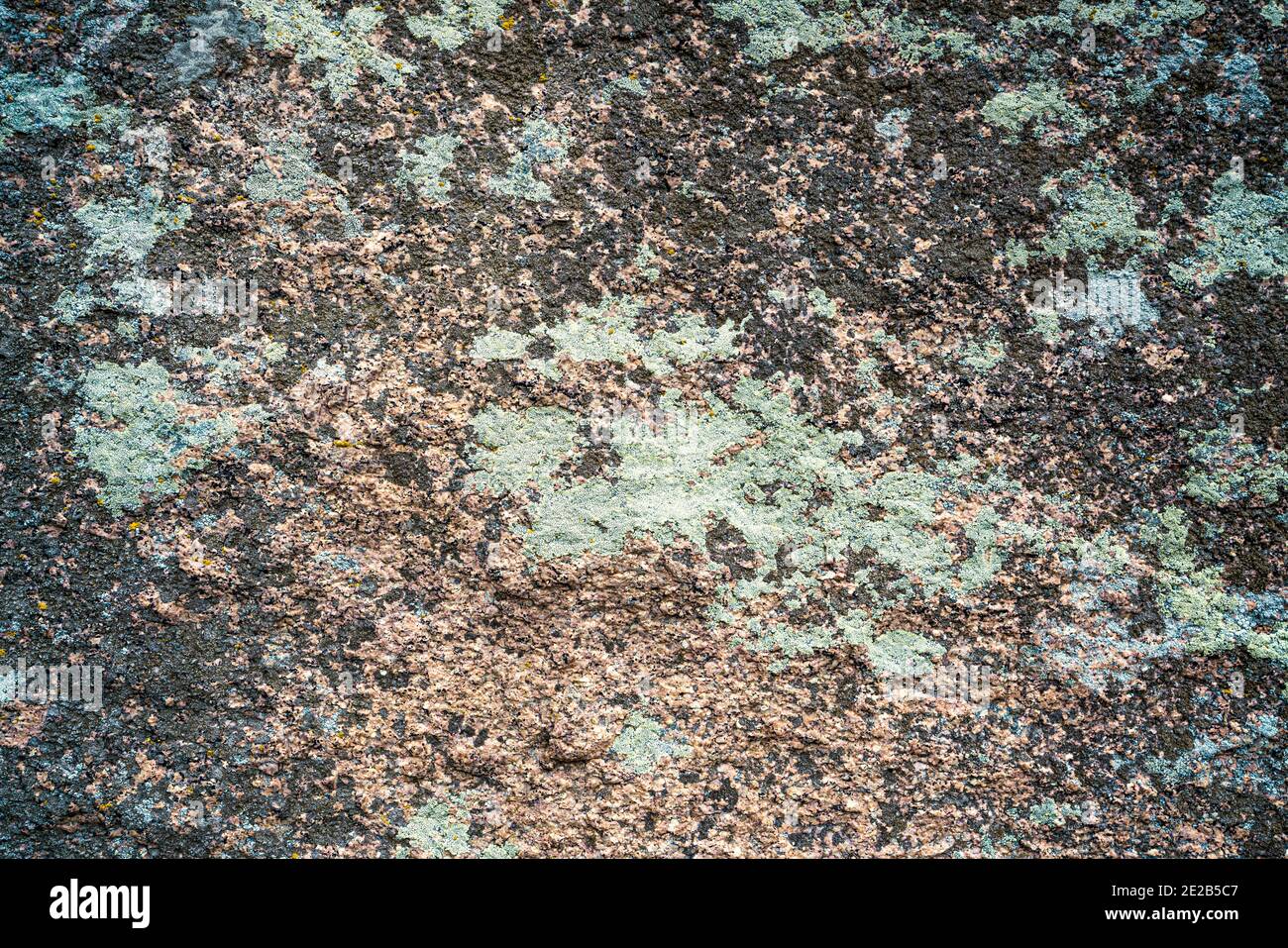 An unusual pattern of multi-colored mold on gray stone wall with moss ...
