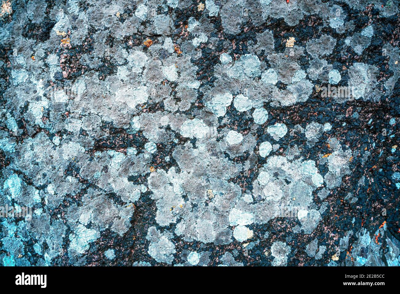 An unusual pattern of multi-colored mold on gray stone wall with moss ...