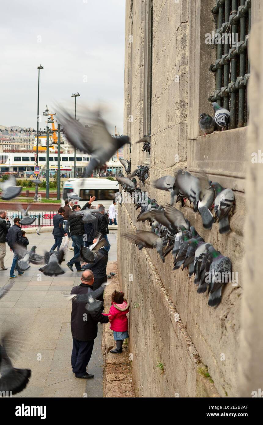 Istanbul, Turkey - November 25, 2012: Pigeons outside the "New Valide ...