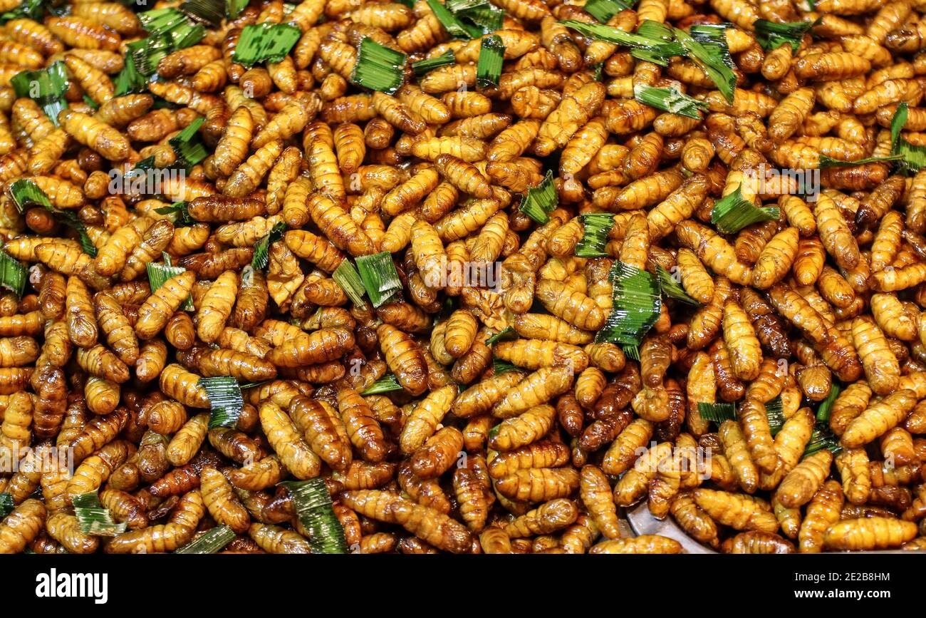 Benefits street culture hi-res stock photography and images - Alamy