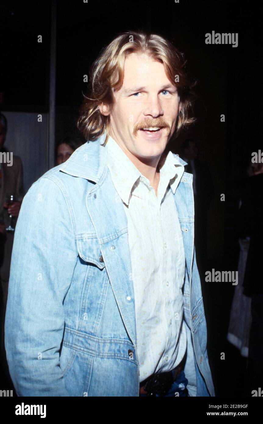 Nick Nolte Credit: Ralph Dominguez/MediaPunch Stock Photo - Alamy