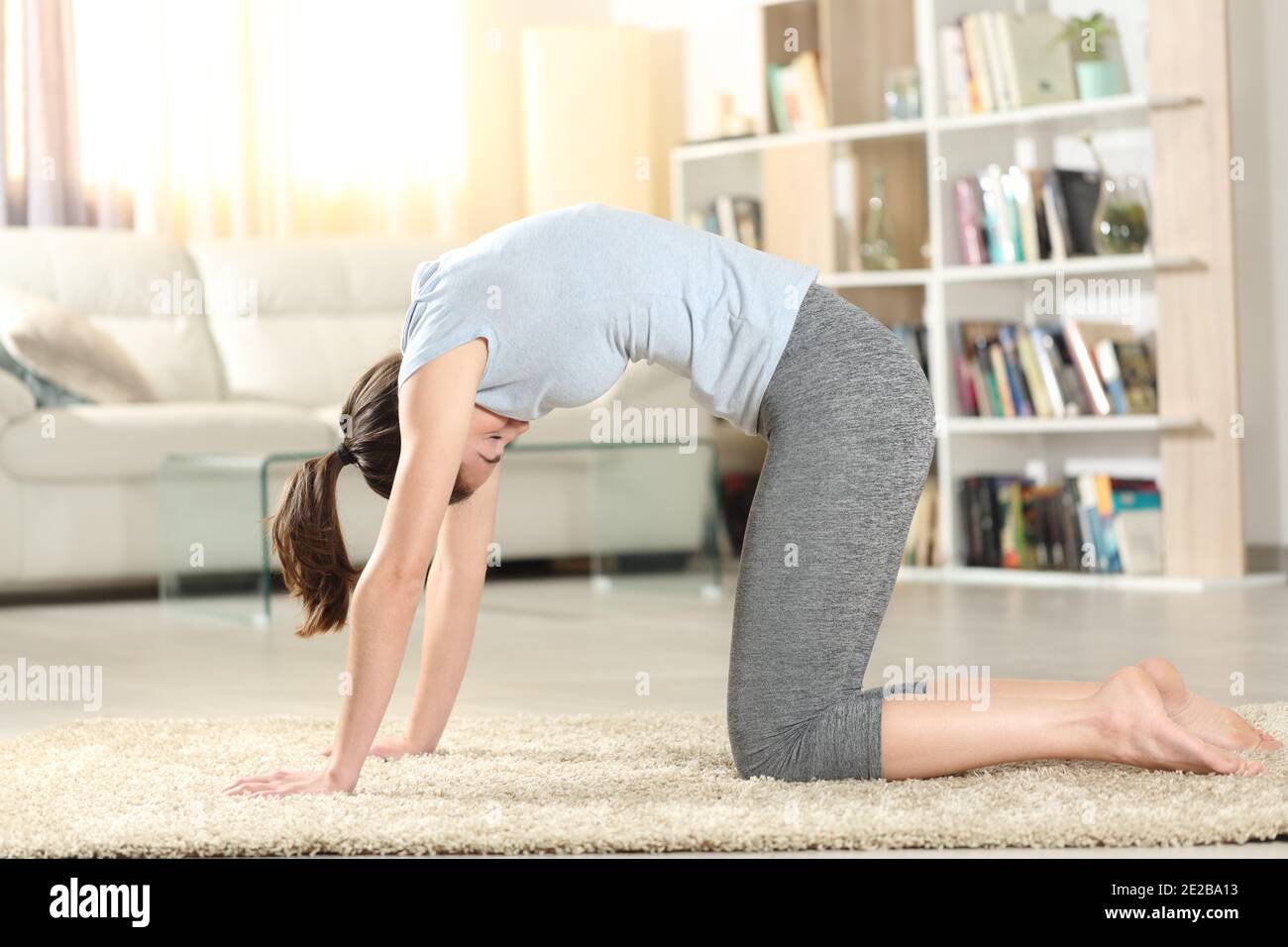 Yoga cat pose hi-res stock photography and images - Alamy