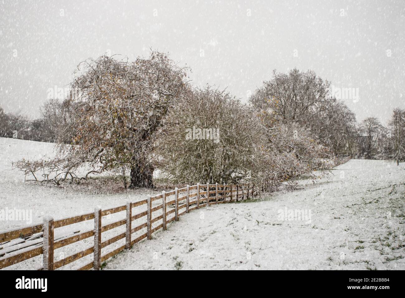 Cherry hill park ely hi-res stock photography and images - Alamy