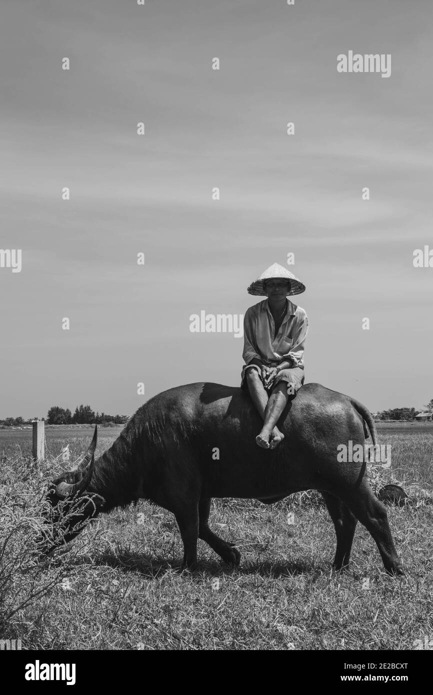 Vietnamese workers Black and White Stock Photos & Images - Alamy