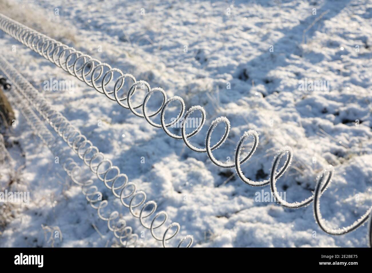 Parts of the electric fence are covered with frost on a frosty day ...