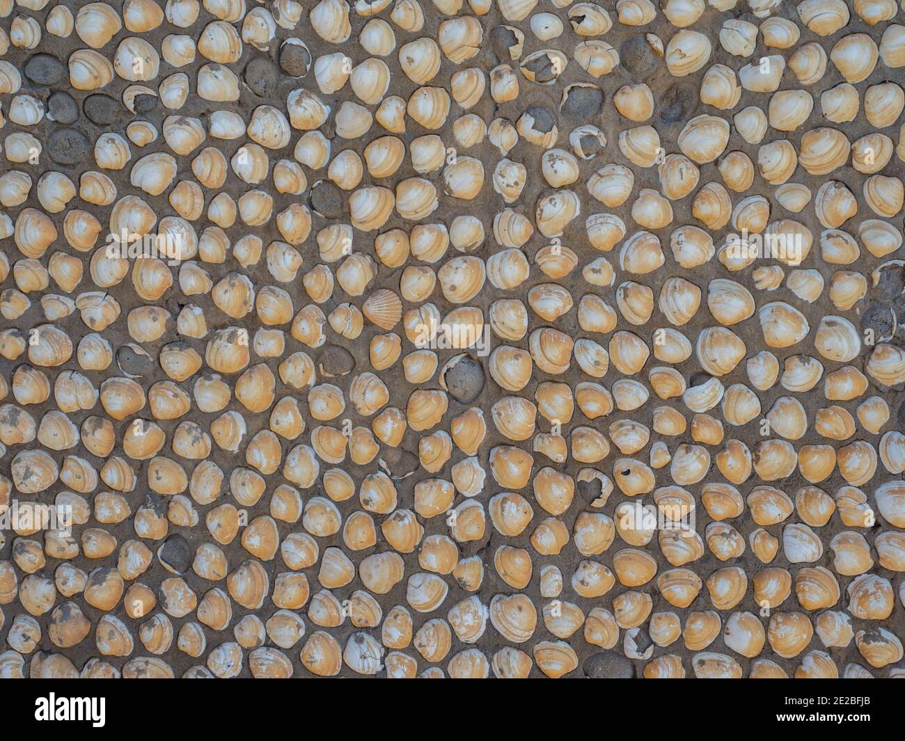 Paintpaperparchment hi-res stock photography and images - Alamy