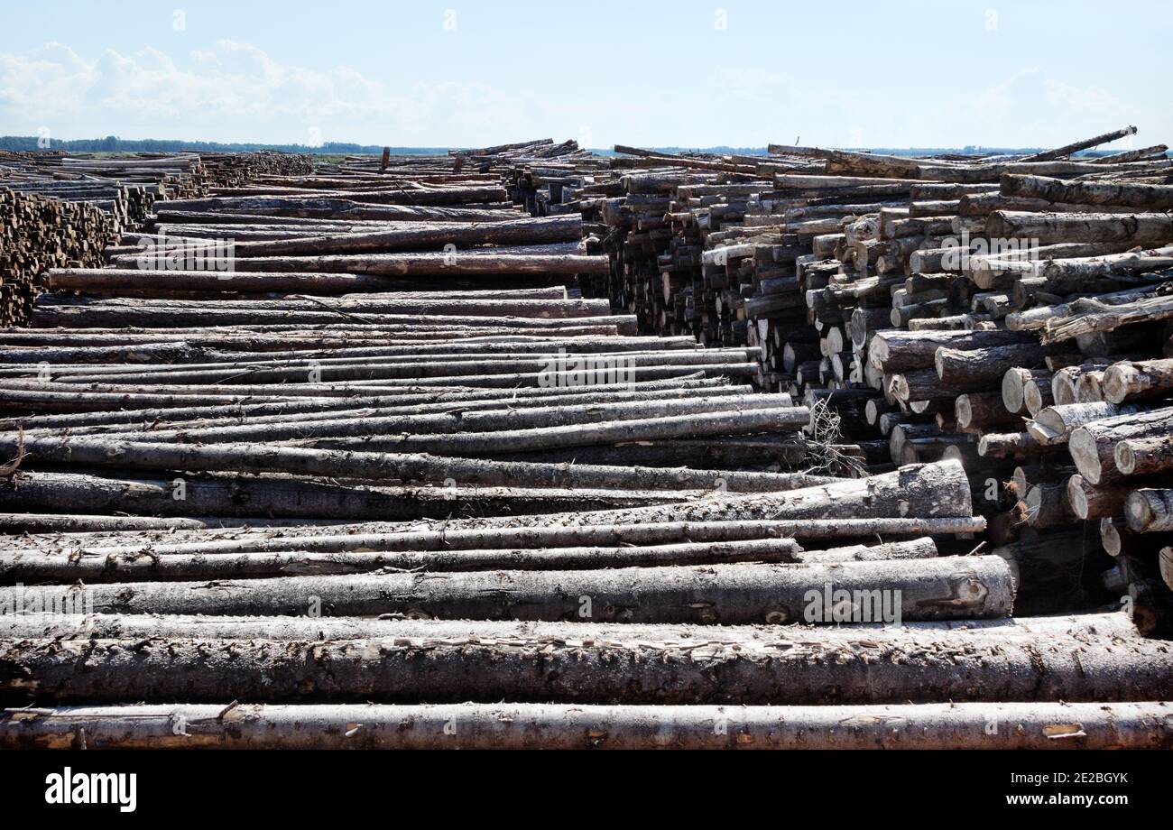 Continuous wood beam hi-res stock photography and images - Alamy