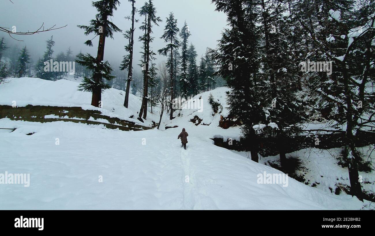 Snow fall in Jammu and Kashmir is common from December to February ...