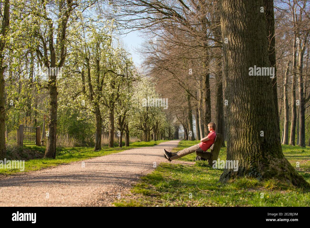 Man resting on bench hi-res stock photography and images - Alamy