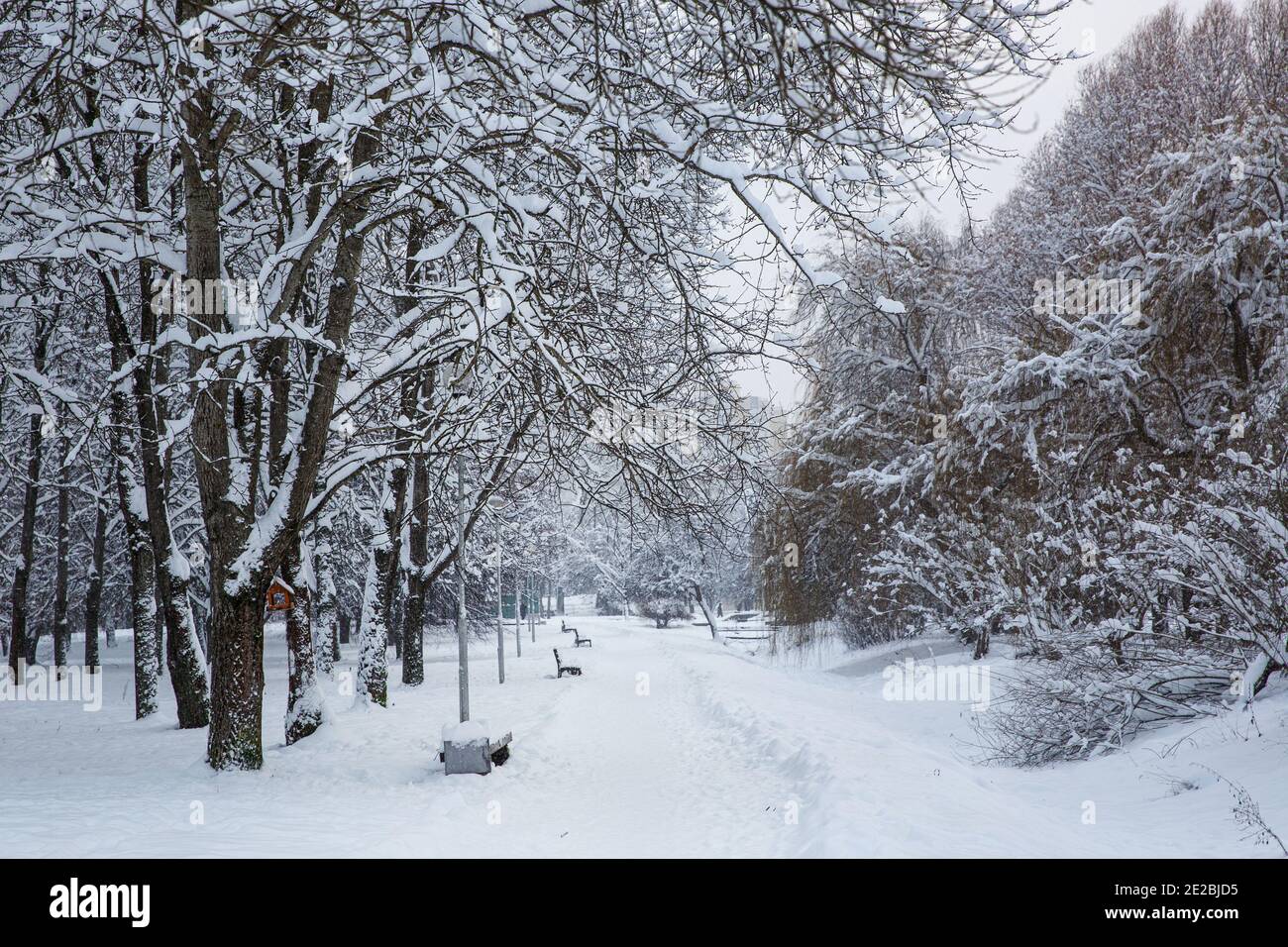 Winter in the park. Winter city landscape Stock Photo - Alamy